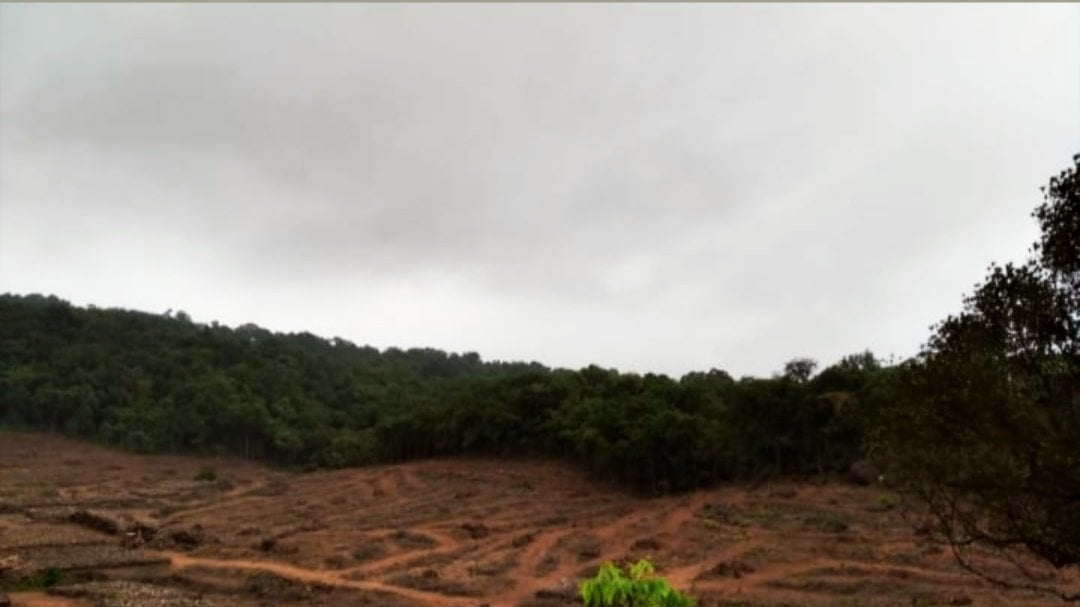 Petition · Save Mollem Wildlife - India · Change.org