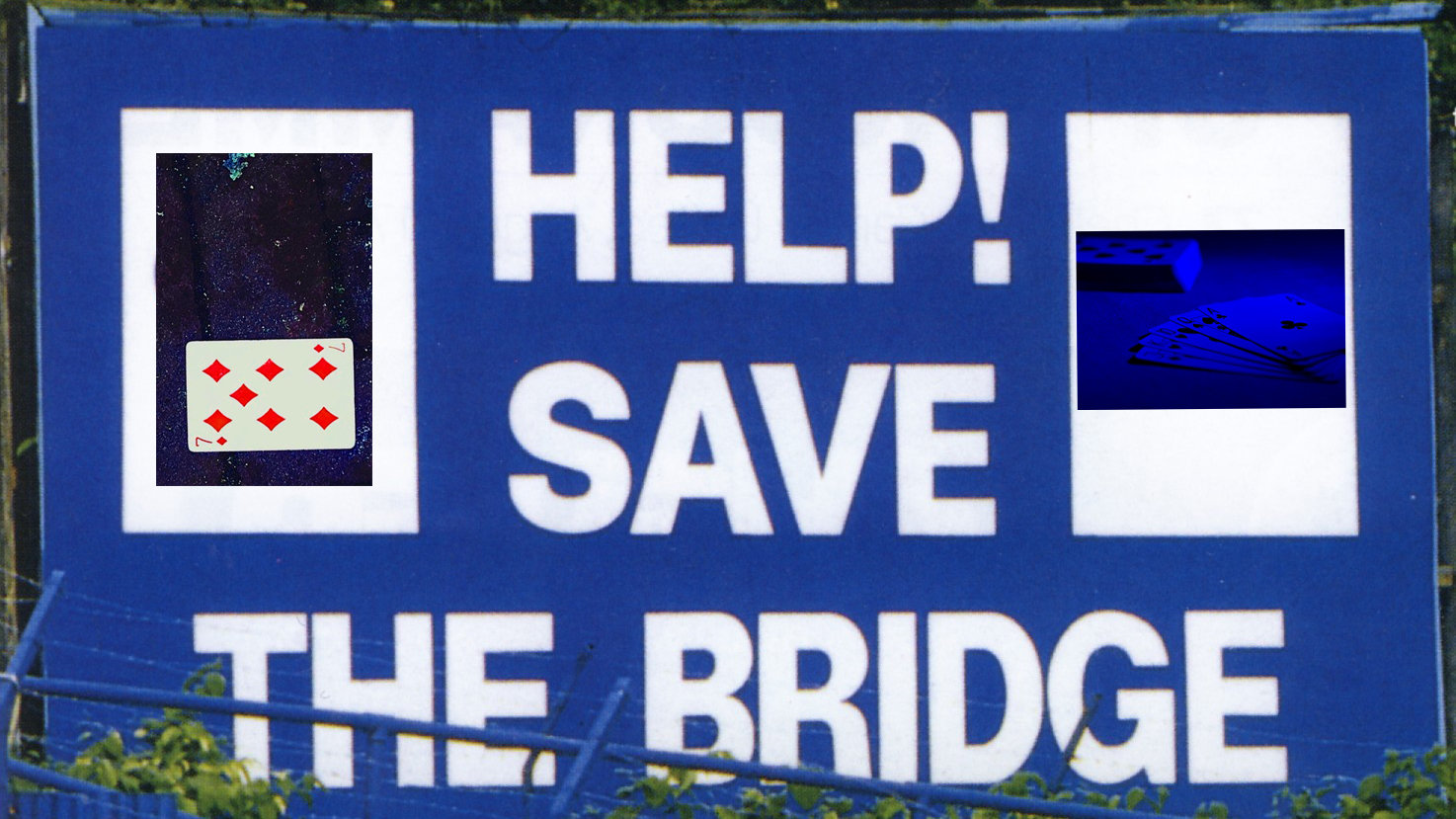 Petition · Help save the SMH's Bridge Column - Australia · Change.org