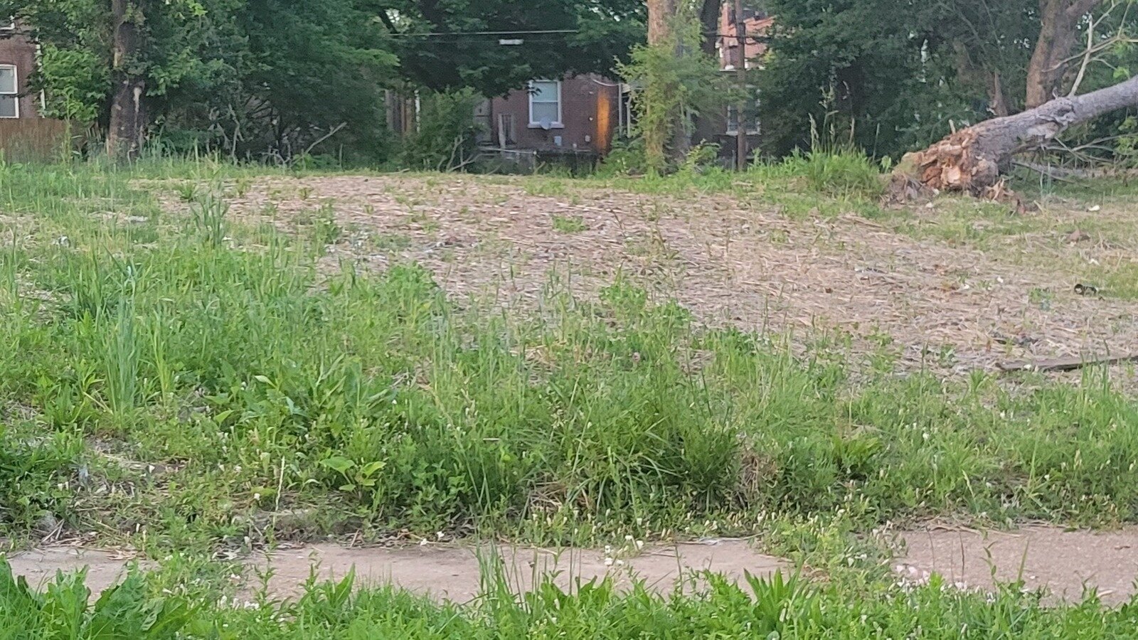 Petition · Restore Trees in Underserved Neighborhoods for a Greener ...