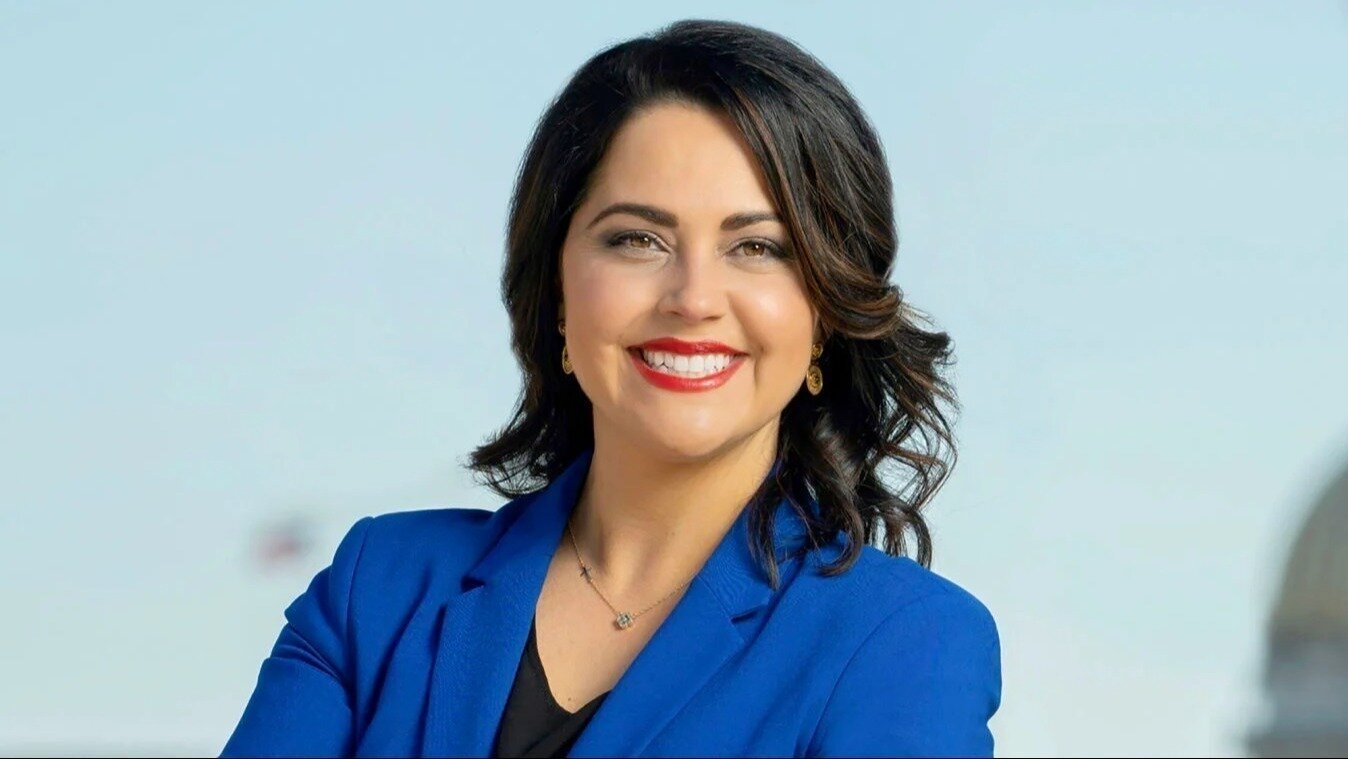 Petition · Investigate District Attorney Nicole Ziccarelli - United ...