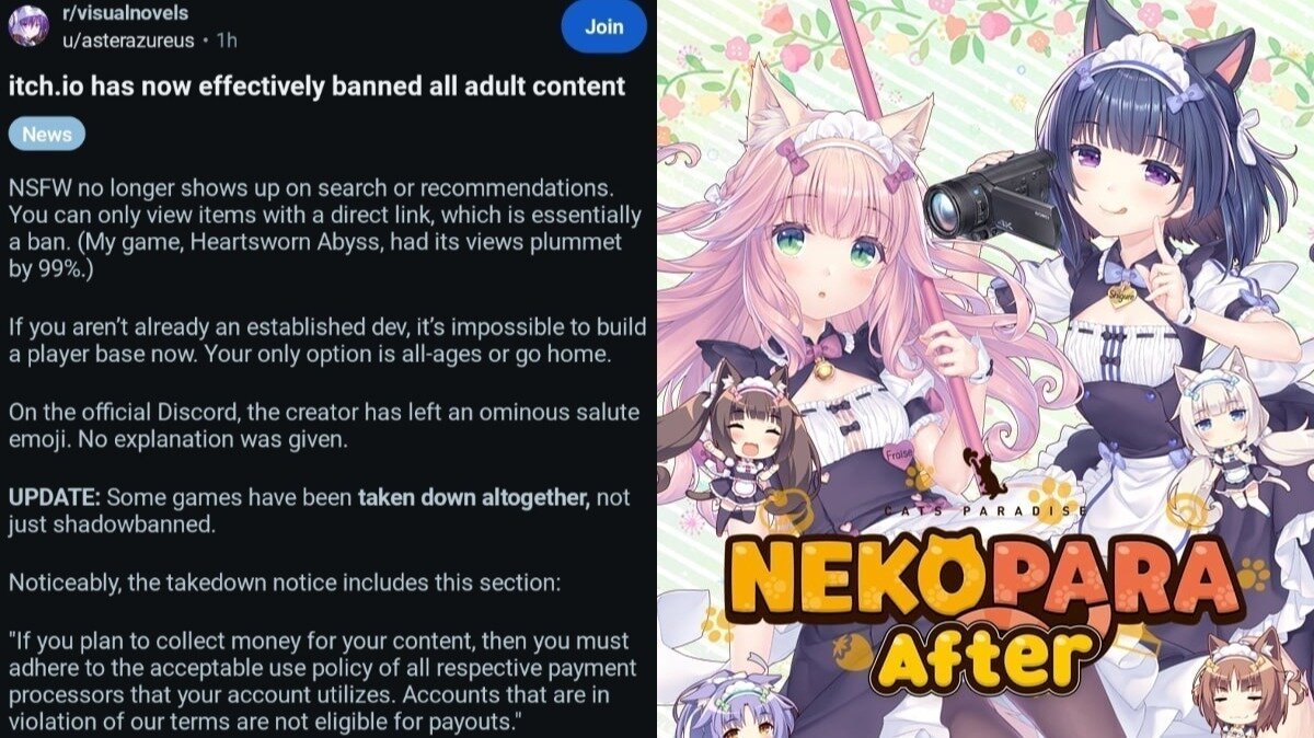 Petition update · Itch.io and Visual Novels are under Attack! · Change.org