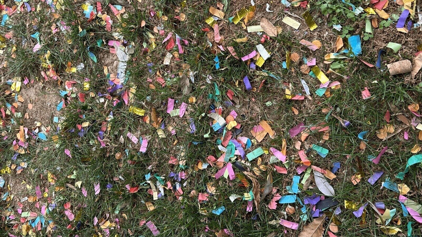 Petition · Reduce confetti litter at UTK! - Knoxville, United States ...
