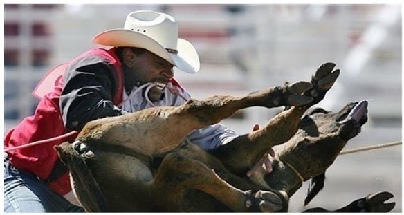 Petition · Ban Los Angeles Rodeos (and ALL U . S . Rodeos) - United ...