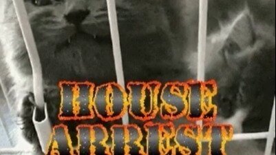 Petition · free him - United Kingdom · Change.org