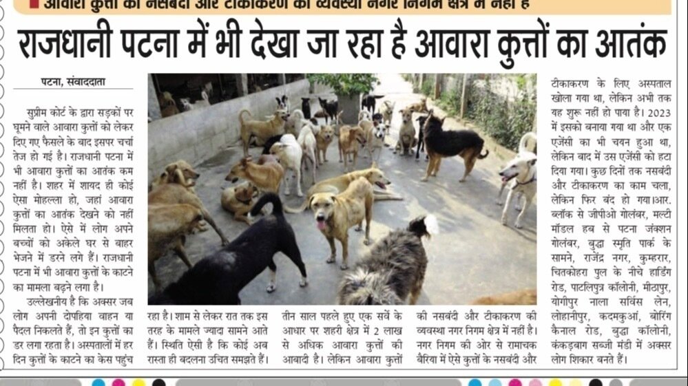 Petition · Petition for Enforcing Effective Implementation of Stray Dog ...