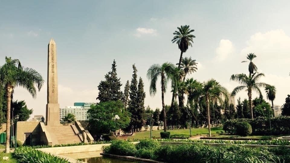 Petition · Stop the Cairo Eye Project in Zamalek - Egypt · Change.org