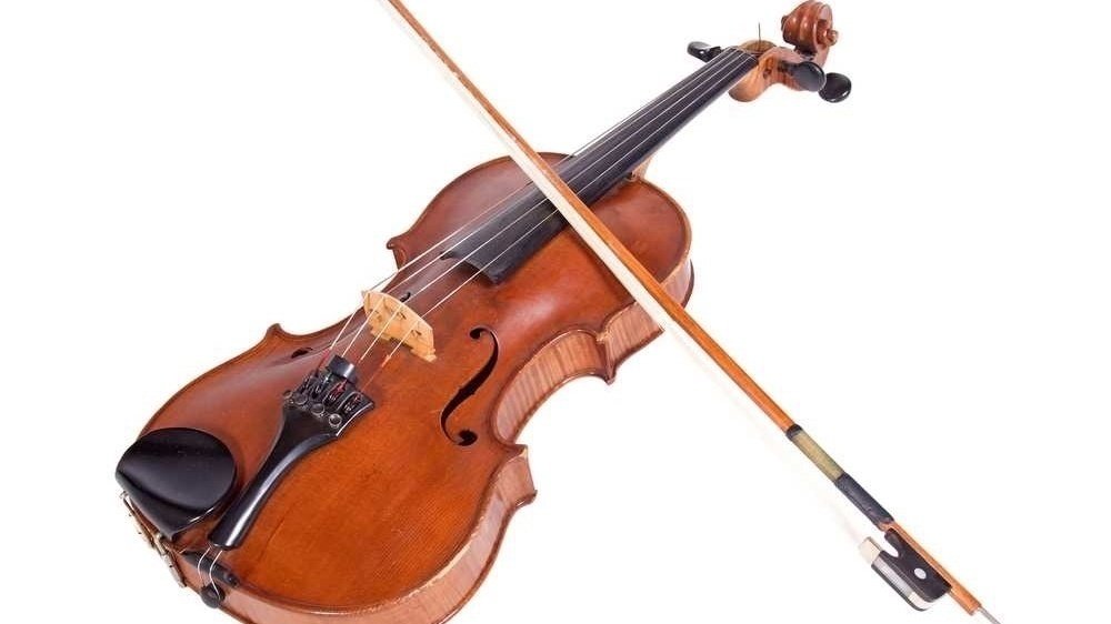 Petition · Viola Rights - United States · Change.org