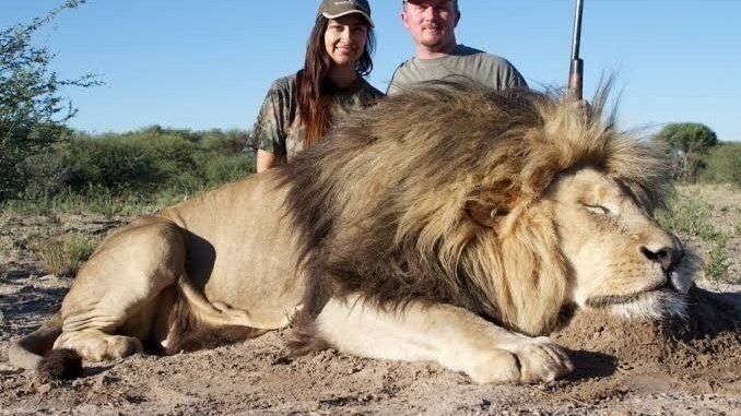 Petition · Ban lion hunting in SA - South Africa · Change.org