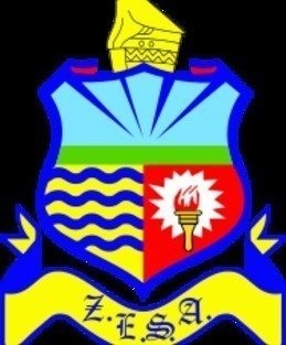 Petition · HEADS MUST ROLL AT ZESA HOLDINGS - Zimbabwe · Change.org