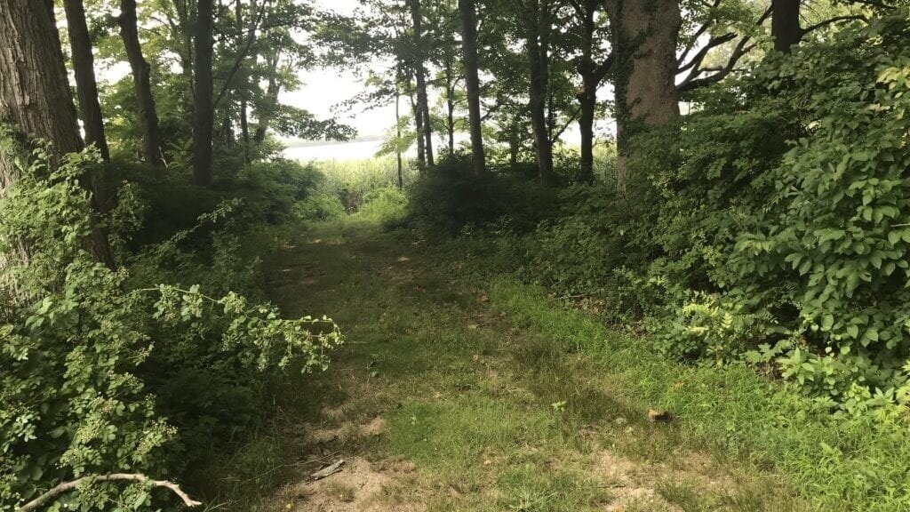 Petition · Urge Old Lyme Board of Selectmen to Keep Tantummaheag ...