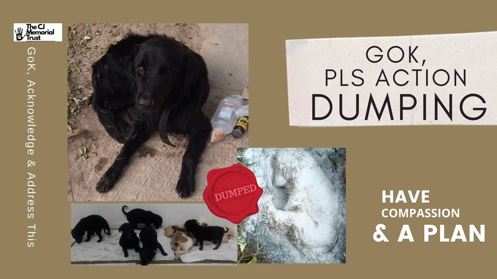 Petition · Provide for Dumped Dogs at Govt Vet Hospitals - Bengaluru ...