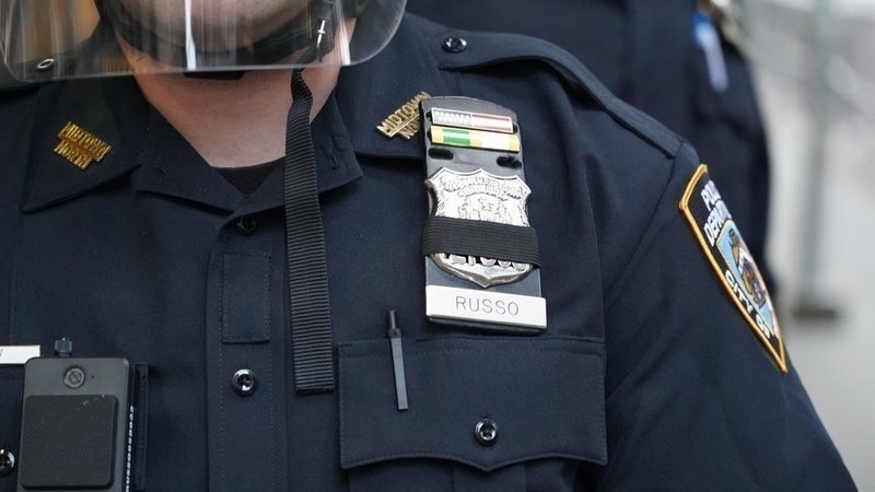 Petition · Criminalize the Obstruction of Badge Numbers by Law ...