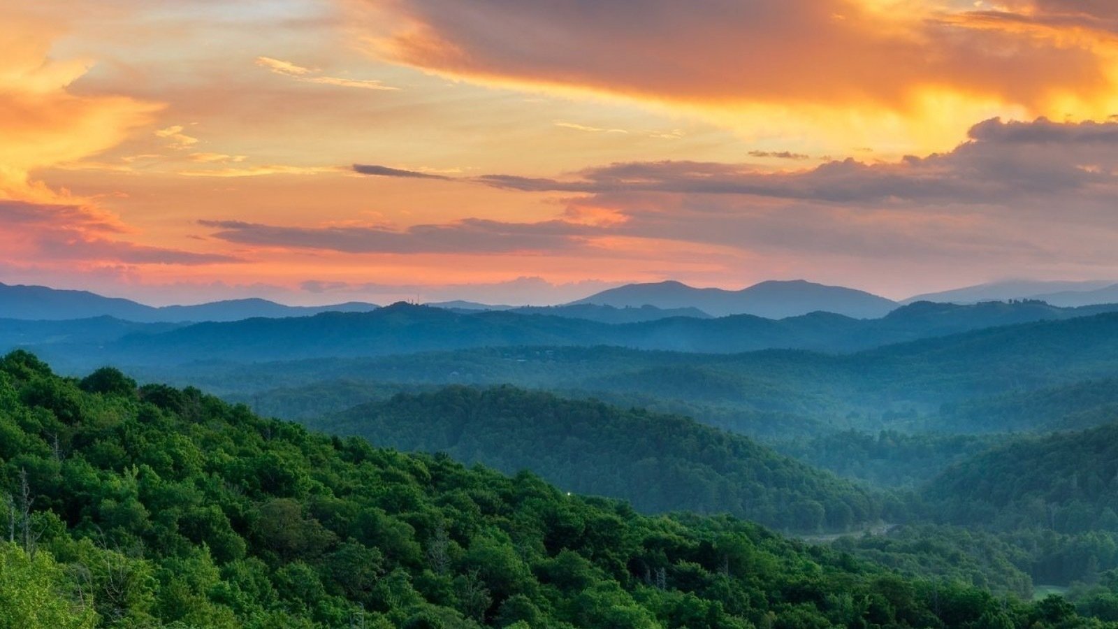 Petition · EDWA customers demand the resignation of Tracy Pekar from ...