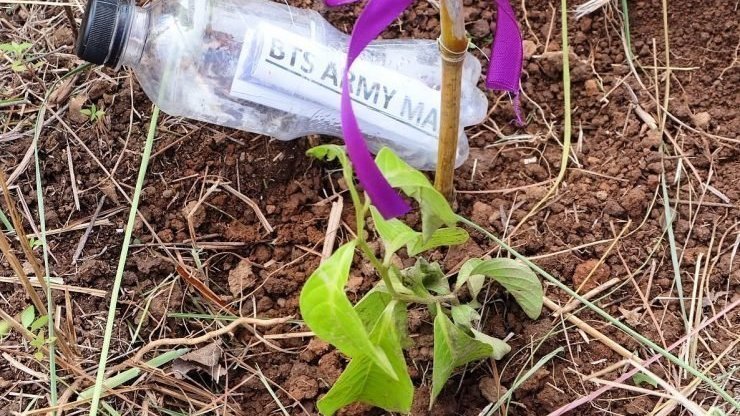 Petition · Extend BTS' ARMYs Tree Planting activities in rural areas ...