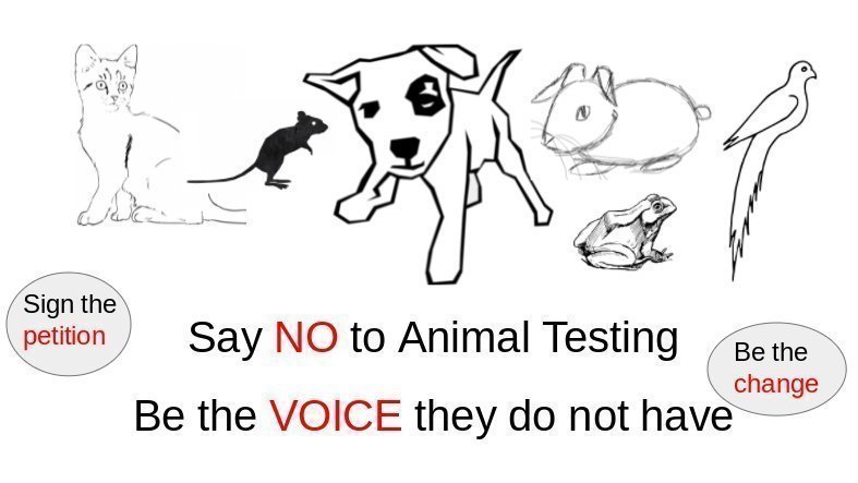 Petition · Help STOP animal testing in America - United States · Change.org