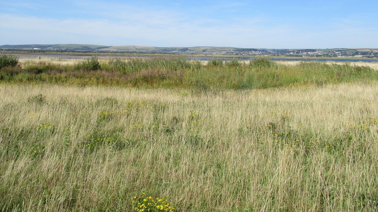 Petition · Object to development at Yelland Power Station - Yelland ...