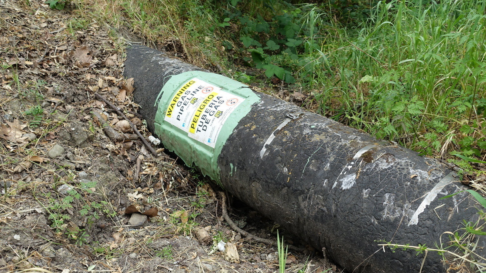 Petition update · PG&E tree removal & safety questions · Change.org ...