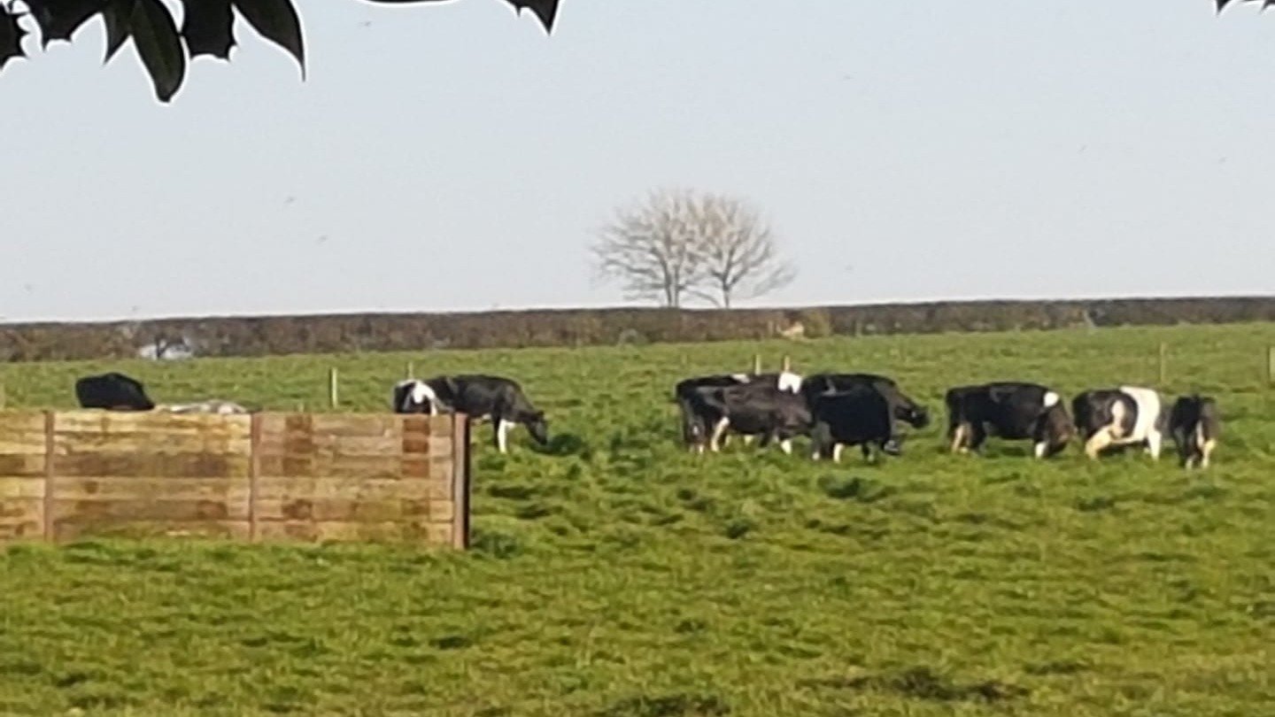 Petition · OBJECTION to planning application to build on Greenhouse ...