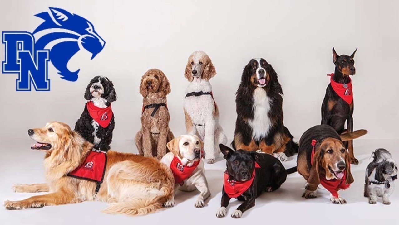 Petition · Get North High School Therapy Dogs - Davenport, United ...