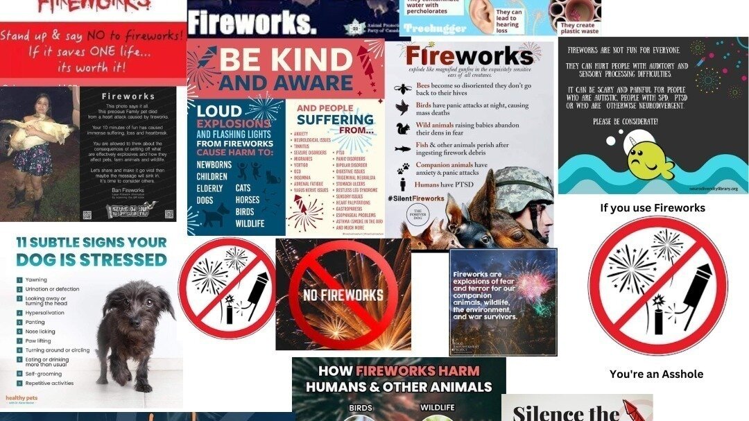 Petition · Ban The Use Of Fireworks & Silence Fireworks ...