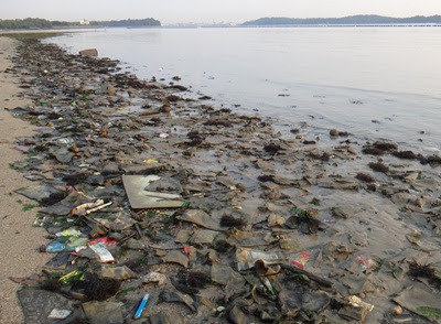 Petition · Help tidy up Pasir Ris beach! - Singapore · Change.org