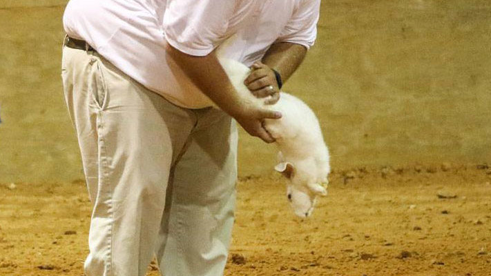 Petition update · UPDATE from In Defense of Animals · Change.org ...