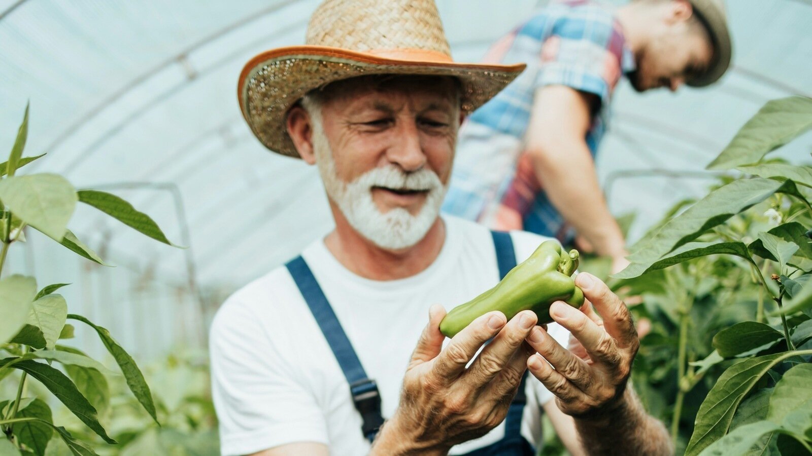 Petition · End unfair USDA handouts — Stand with ALL American farmers ...