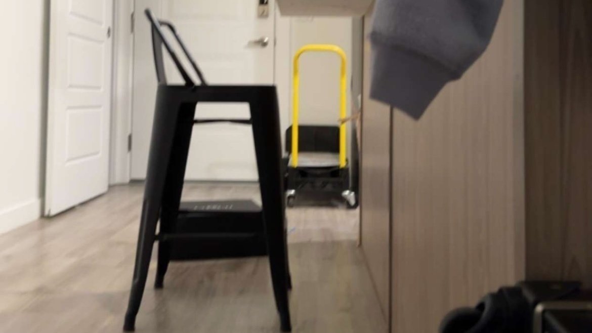 Petition · BRING DOLLY BACK - United States · Change.org