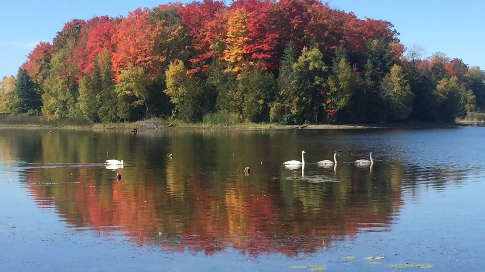 Petition · HELP PROTECT our Island Lake CONSERVATION AREA and local ...