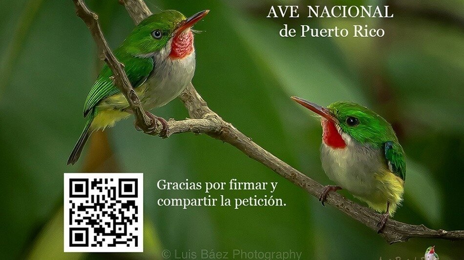 Petition update · Les exhortamos a leer, firmar y compartir / San ...