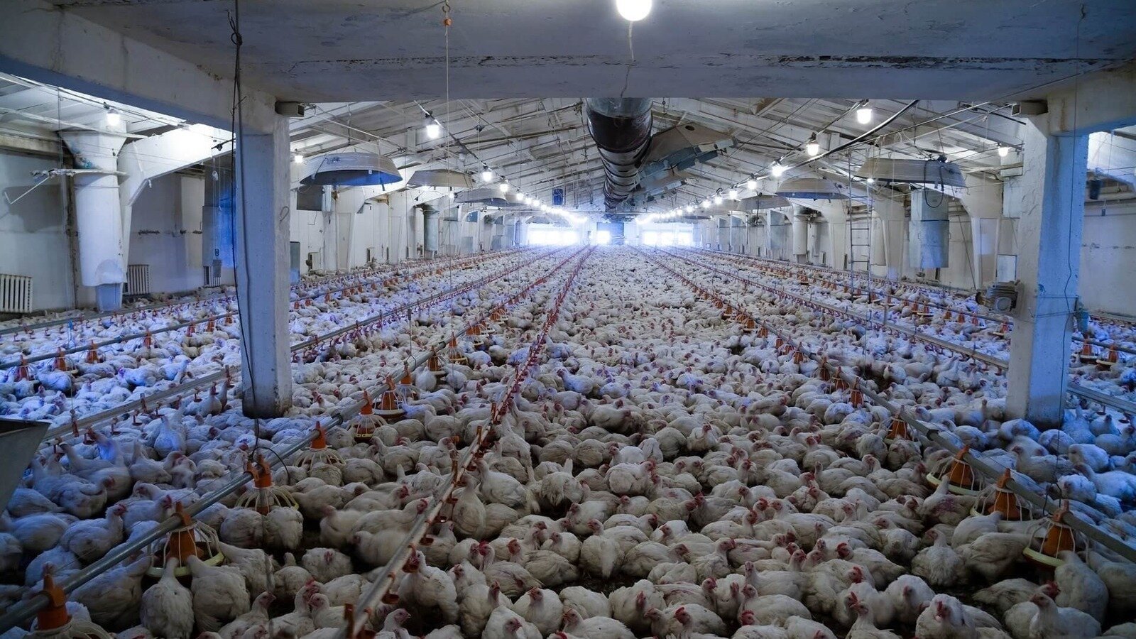 Petition · Save our planet, save our water, save our farmers! Support ...