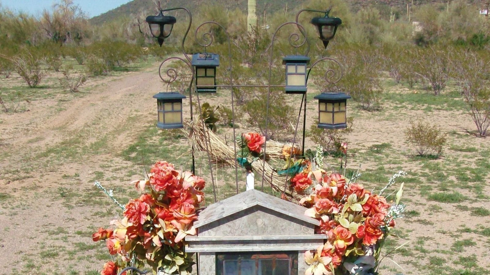 Petition · To make Roadside Memorials illegal and removed statewide ...
