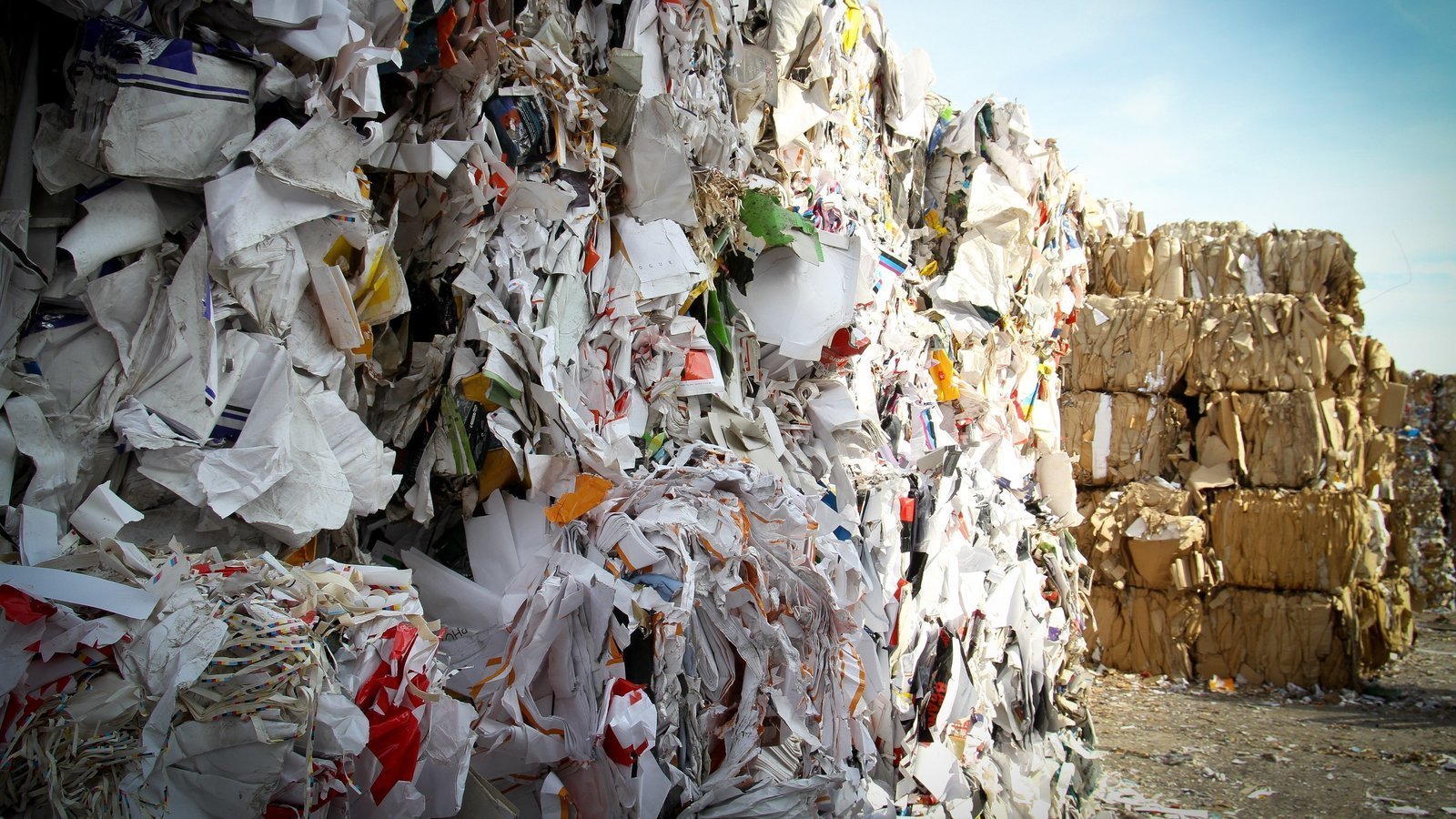 Petition · The Victorian Government must act to solve the recycling ...