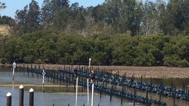 Petition · Point Rd Tuncurry, Severe Visual Impact - Tuncurry ...