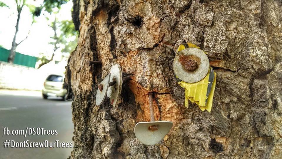 Petition · Ban advertisements on trees · Change.org