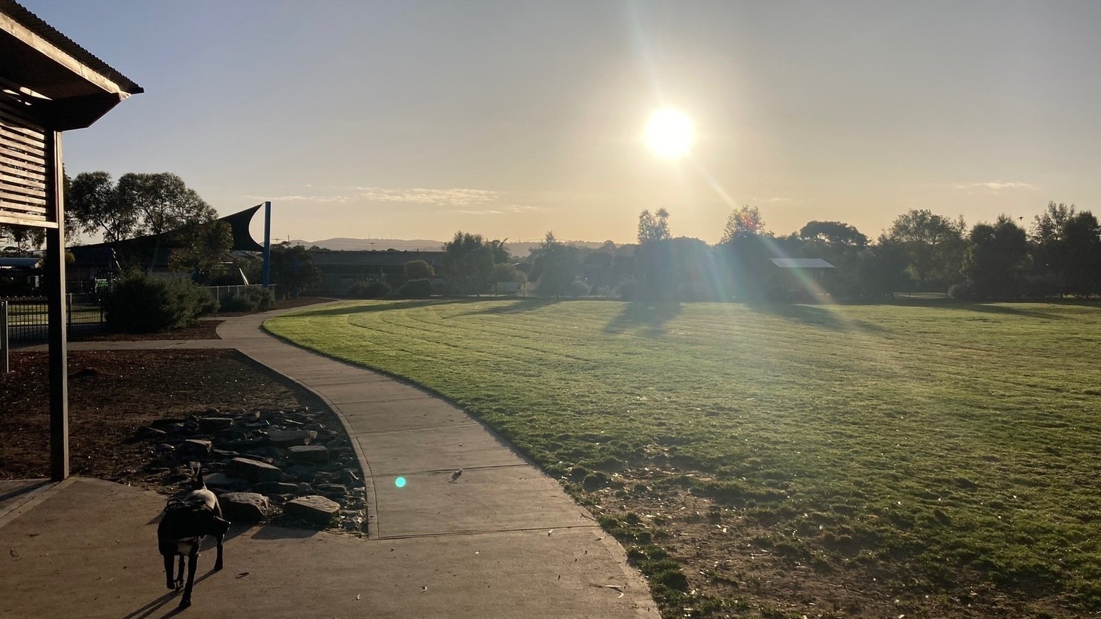 Petition · Hazelmere dog park upgrade · Change.org