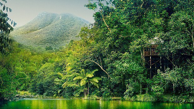 Petition · Save the Daintree (Again) - Australia · Change.org