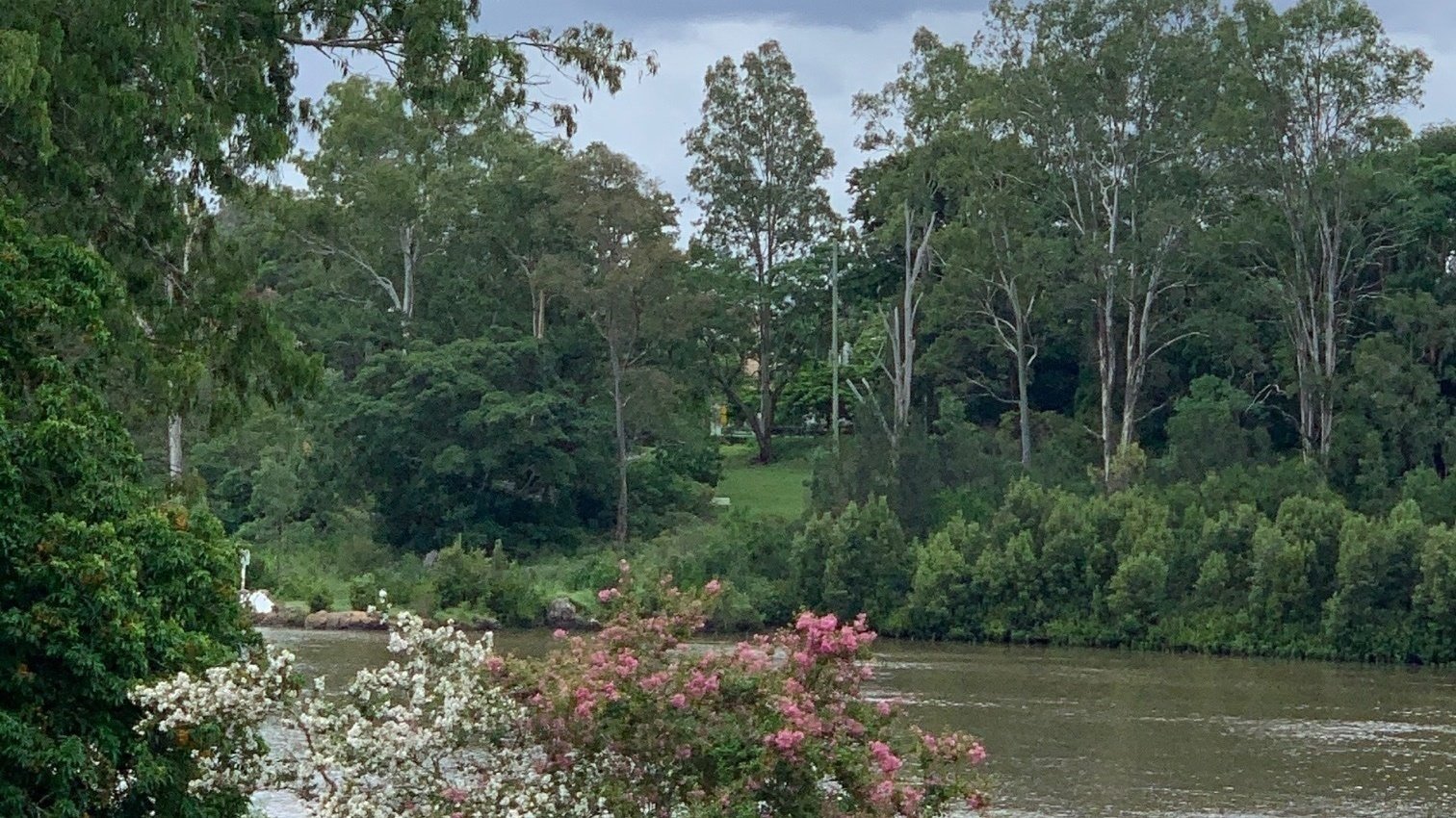 Petition · Green Bridge Fig tree pocket to Corinda (Pedestrian & Bikes ...