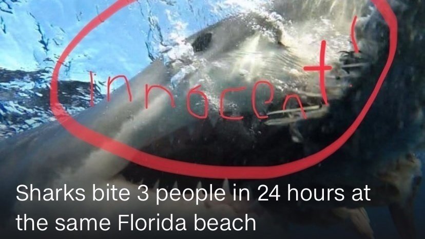 Petition · Dear Media: Stop using inaccurate species images in shark ...