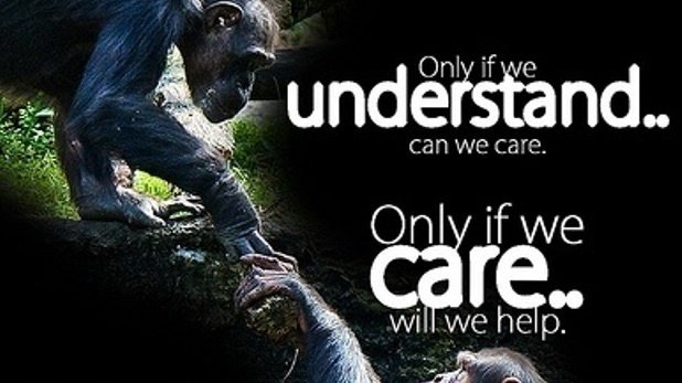 Petition · Stop showing inhuman behaviour. If u can’t love them then ...