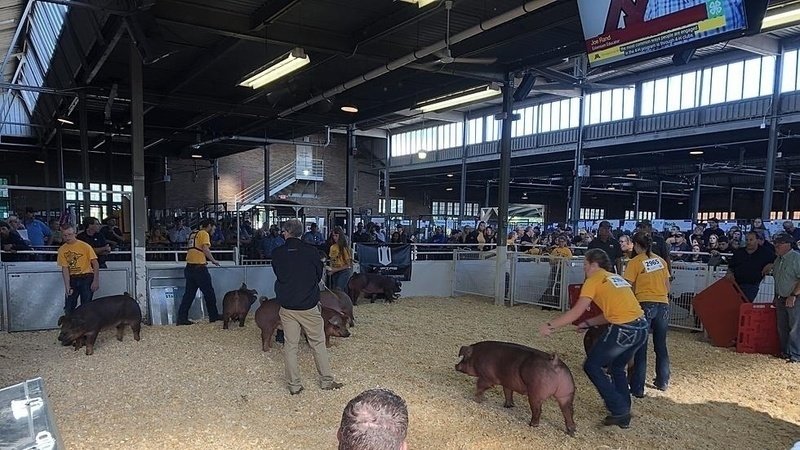 Petition · Minnesota State Fair Livestock Show · Change.org