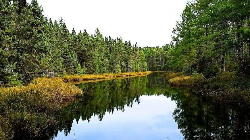 Petition · Protect Wisconsin's Forests and Keep Our Industry - United ...