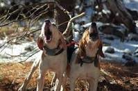 Petition · Stop Dog Hunters from trespassing. Sign Bill S936 SC ...