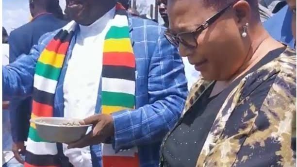Petition · Stop Thokozani Khupe from joining CCC - South Africa ...