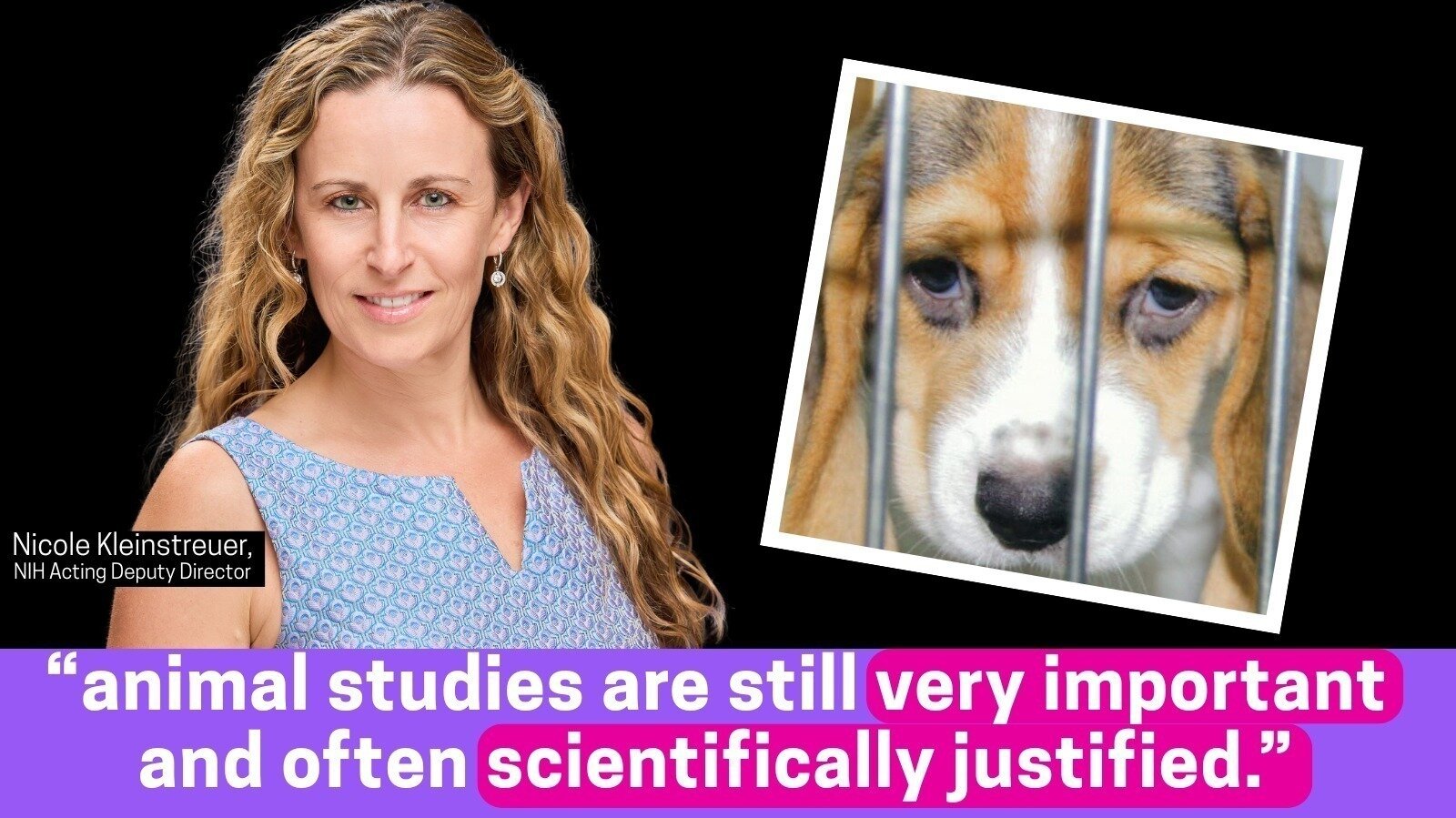 Petition update · NIH: “no intention of just phasing out animal studies ...