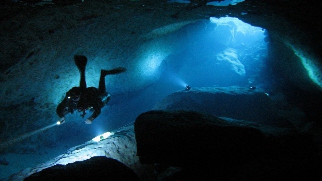Petition · Allow more divers access to Jackson Blue Spring park with ...