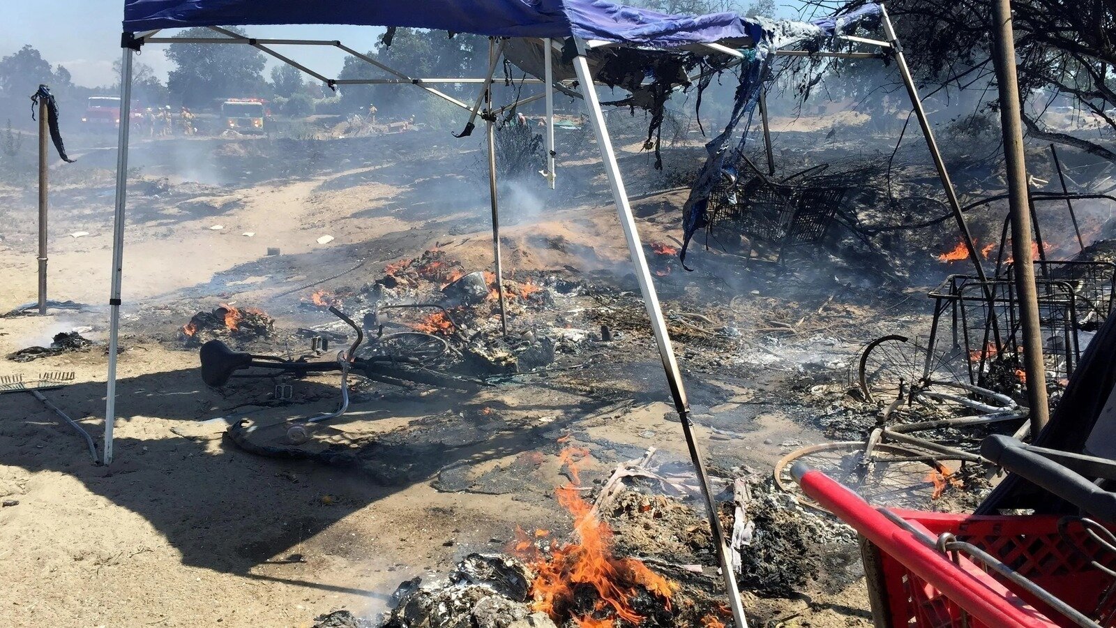 Petition · Implement Controlled Deforestation in Oregon to Reduce Fire ...