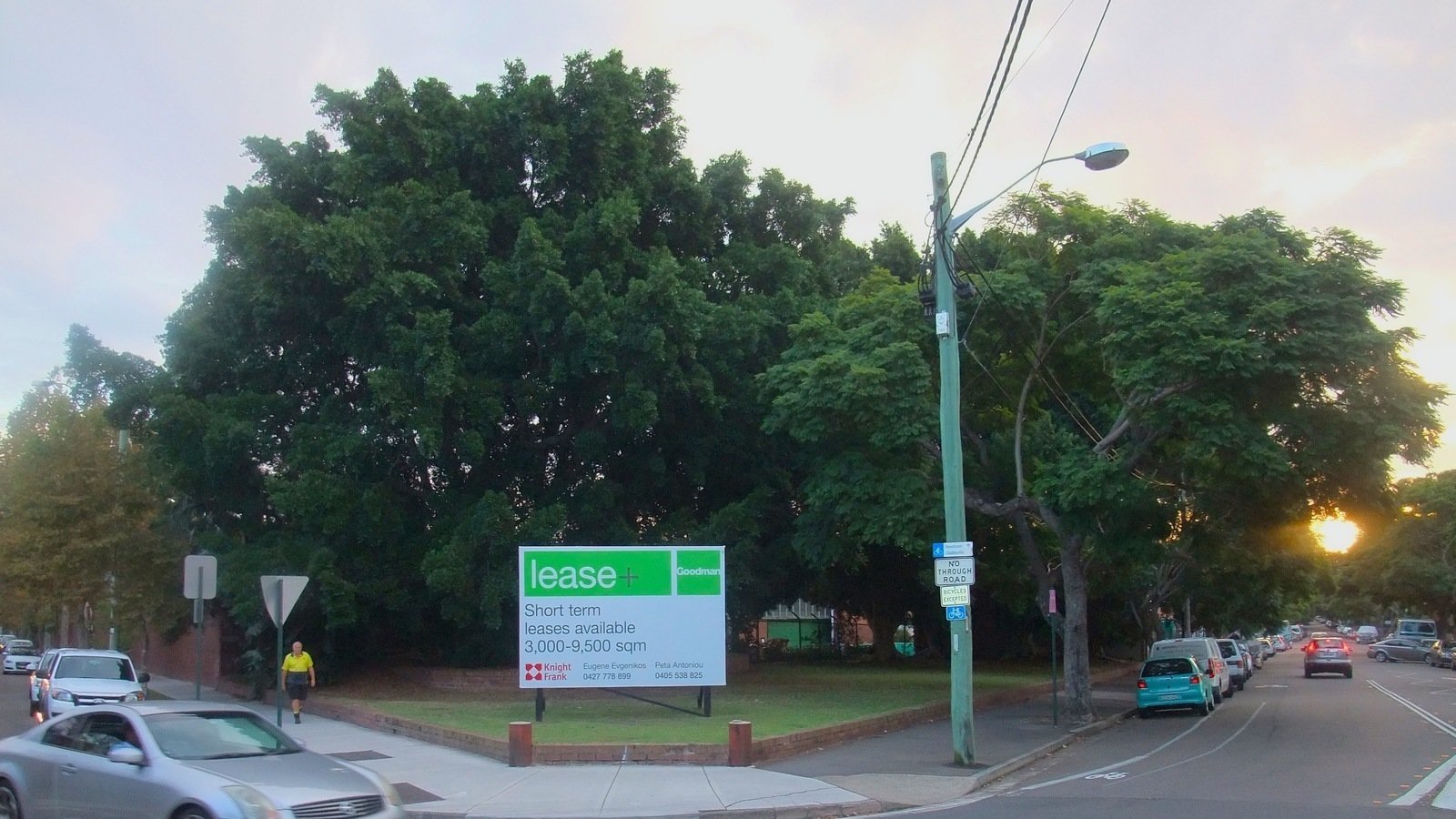 Petition · Save Ashmore Trees - Australia · Change.org