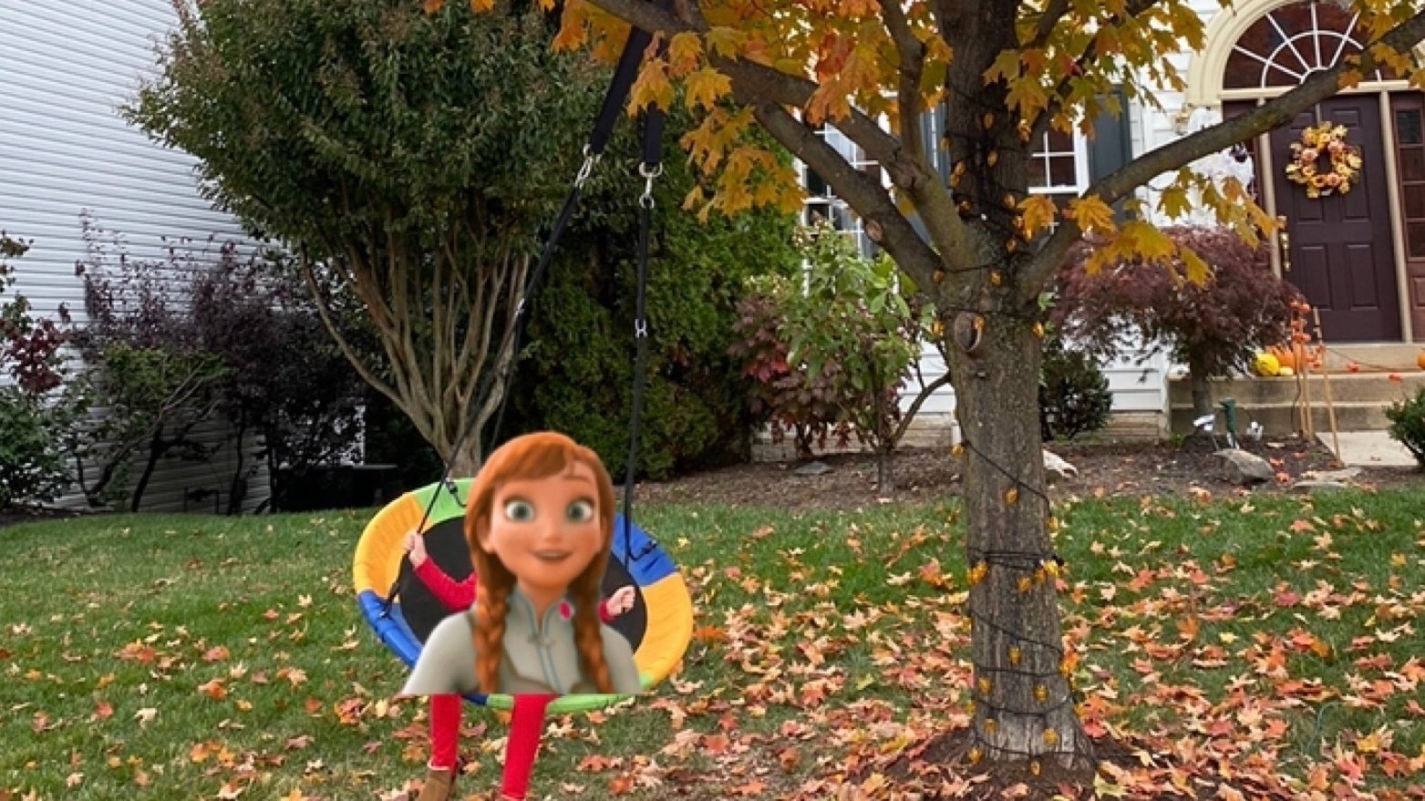 Petition · Allow front yard tree swings within Broadlands, VA HOA ...