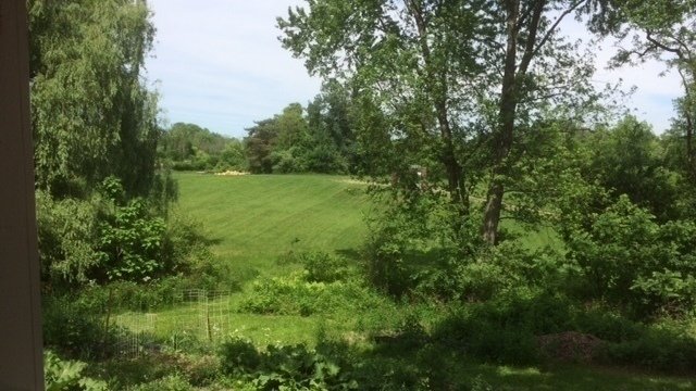 Petition · Tivolians against the proposed water tower location on ...
